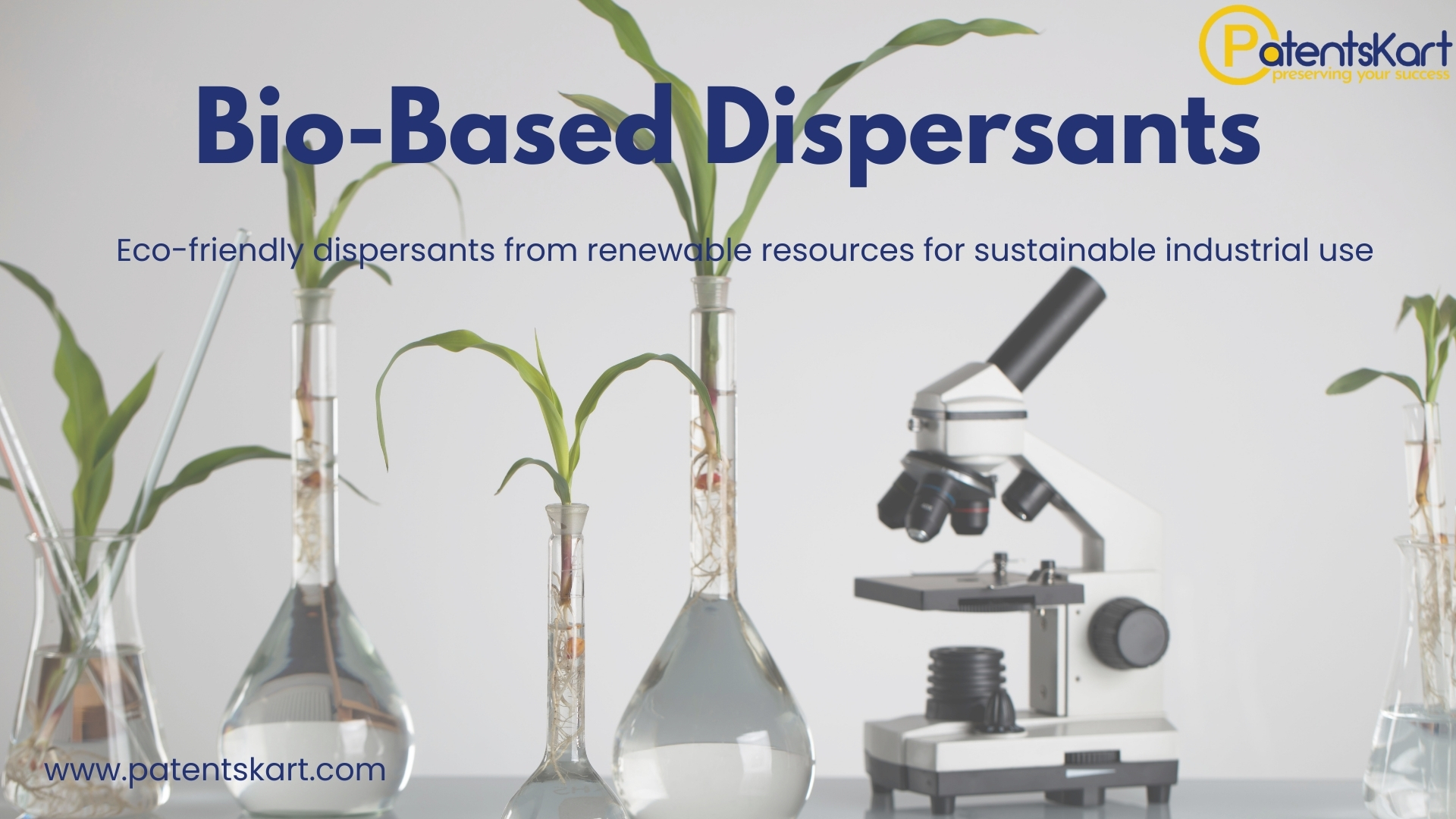 Bio-Based Dispersants - Patentskart