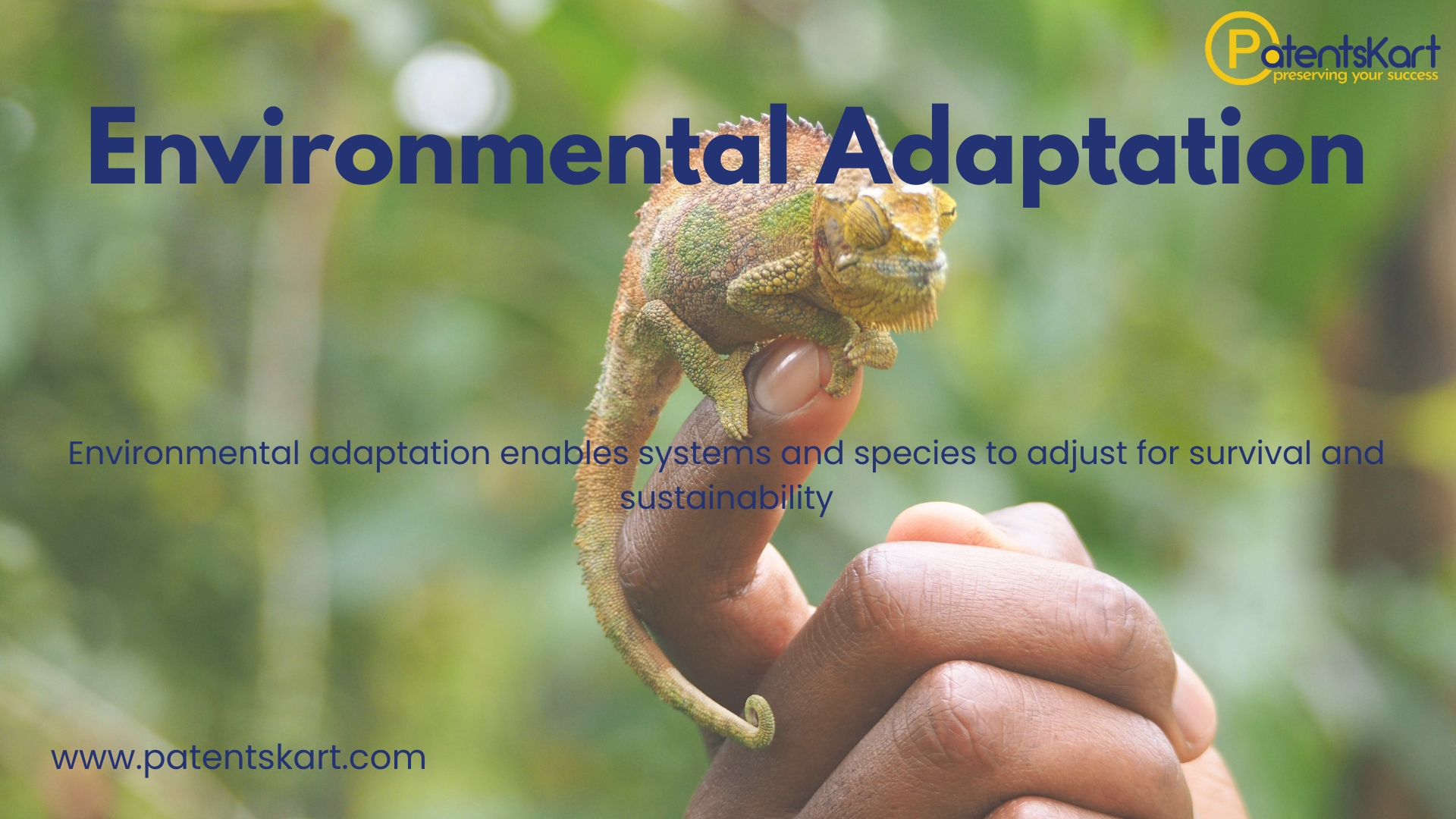Environmental Adaptation - Patentskart